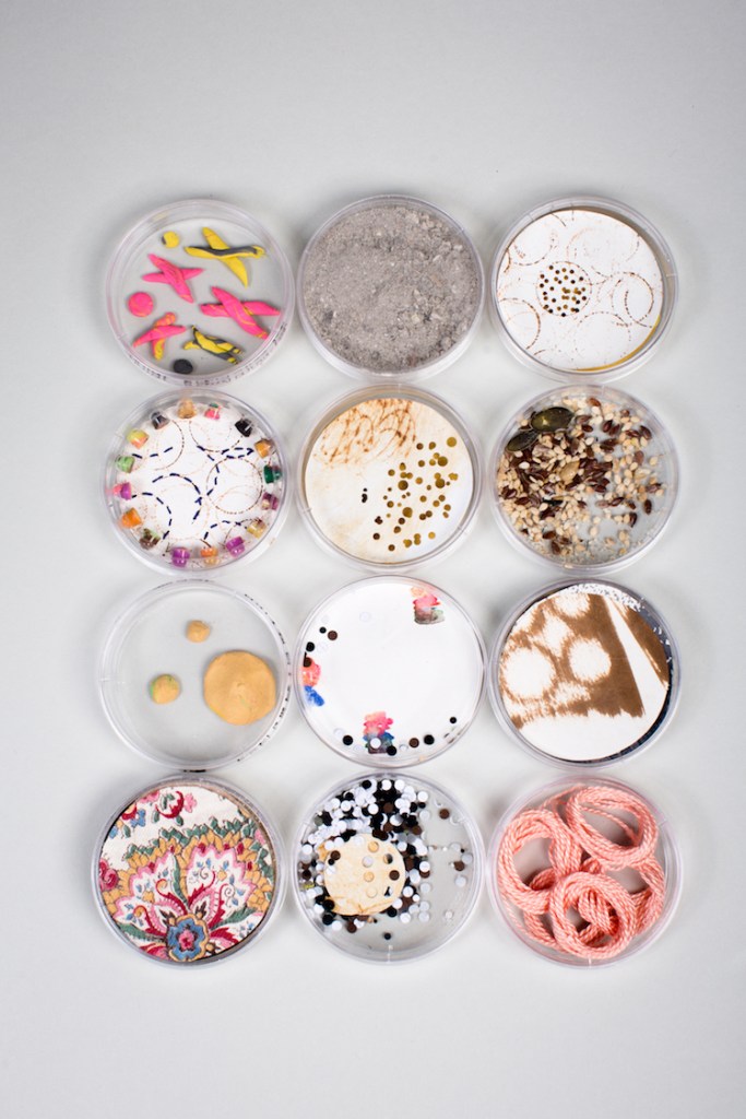 Petri Dish Project | McFarland & Singer